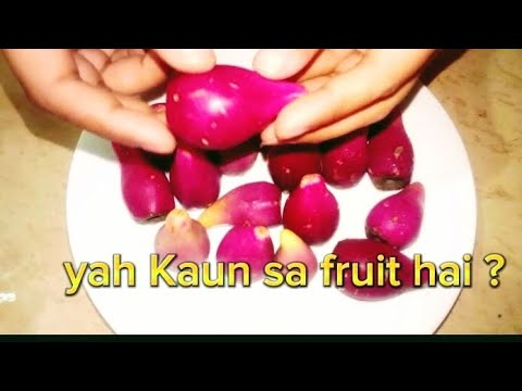 cactus fruit | انار پھلی کے فوائد | ا | anar phali ka juice | banany ...