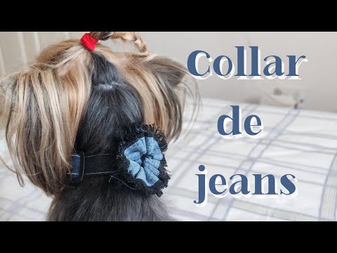 Como crear Collar De Jeans Para Mascotas