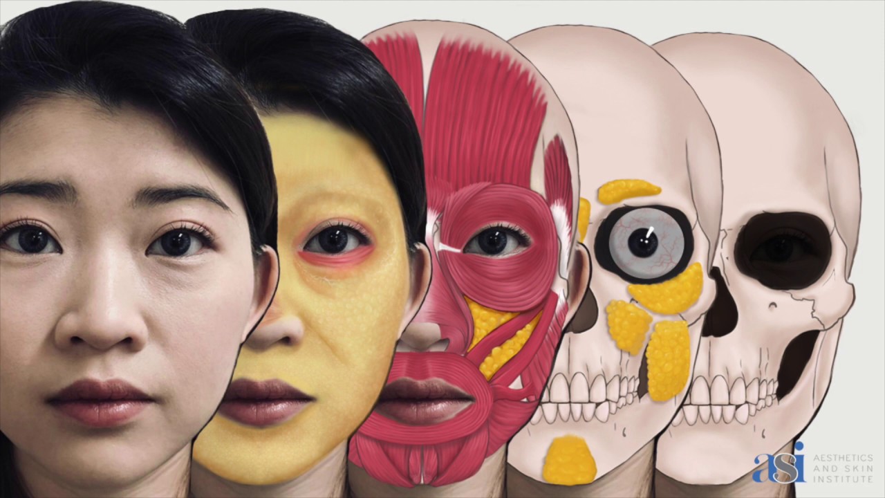 Gross Anatomy - YouTube