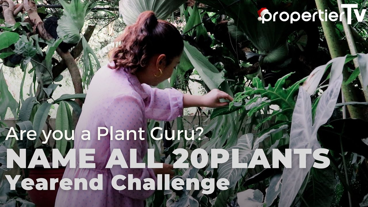 Can You Name 20? Some of the best plants for 2021 | Plant Guru ...