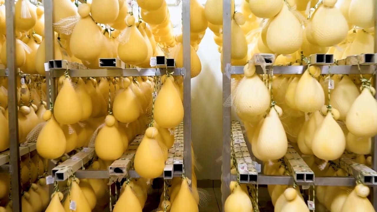 Изготовление сыра из буйволиного молока - выращивание буйволов и сбор ...