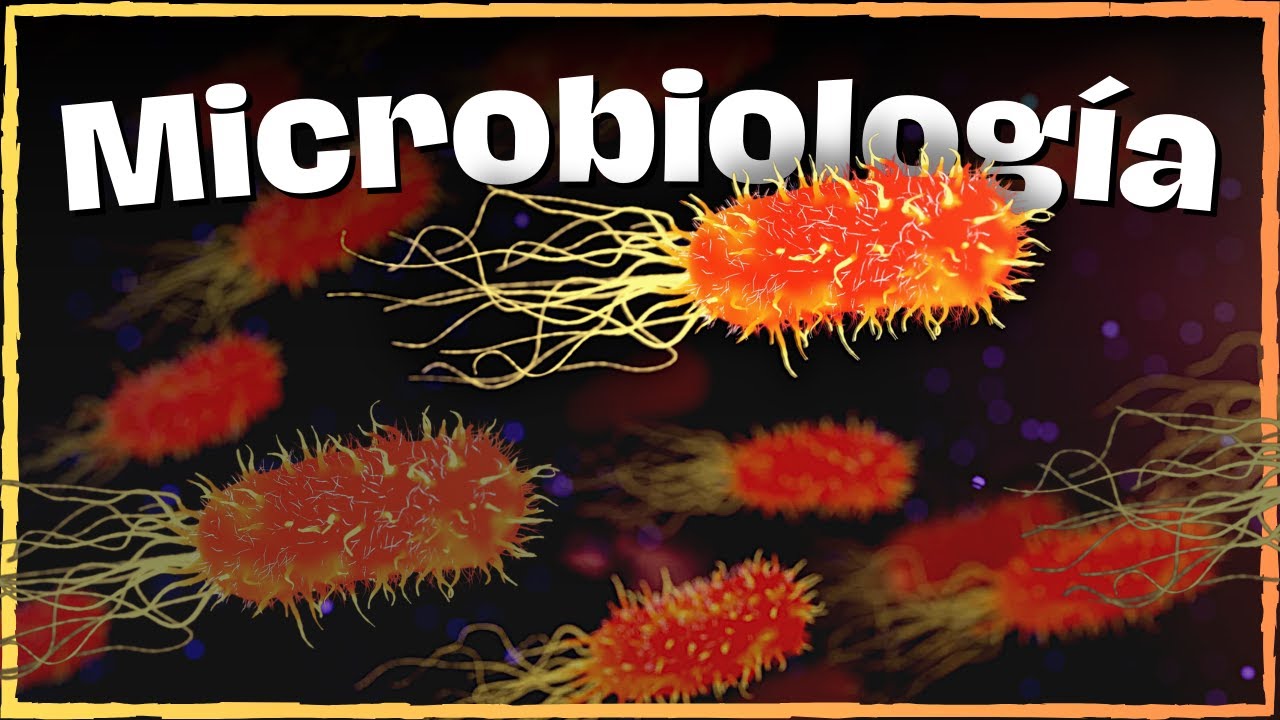 🦠 ¿QUÉ es la MICROBIOLOGÍA? | RAMAS, IMPORTANCIA e HISTORIA | RESUMEN ...