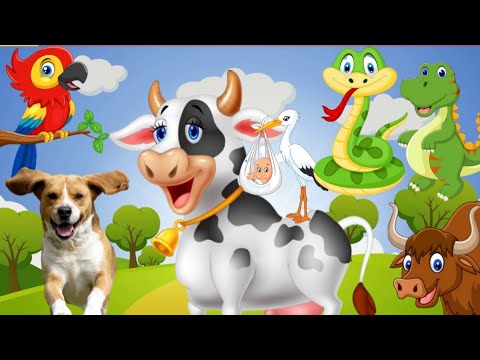 #Relax with familiar wild animals #bagula#Cows sound,Elephants,#crow# ...