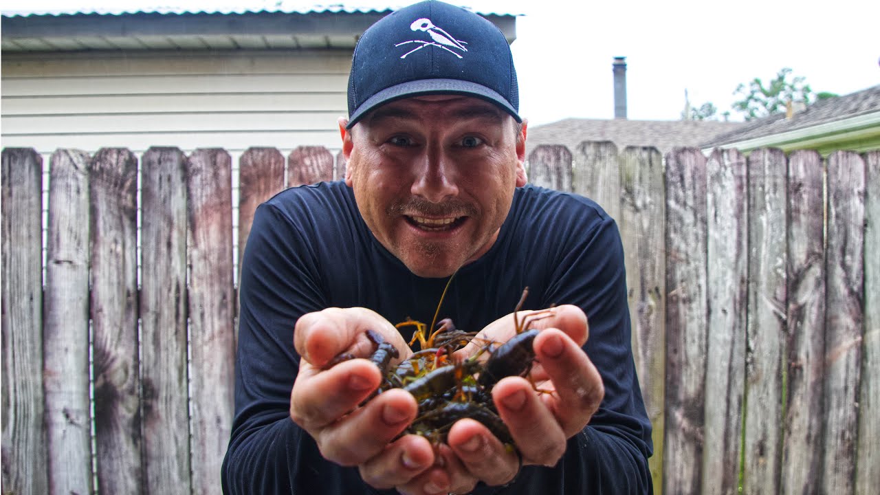 CRAWFISHING in a roadside ditch. Louisiana Crawfish. - YouTube