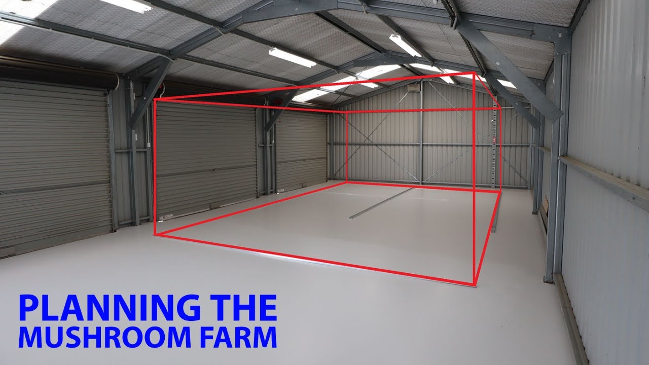 Planning a Mushroom Farm - YouTube