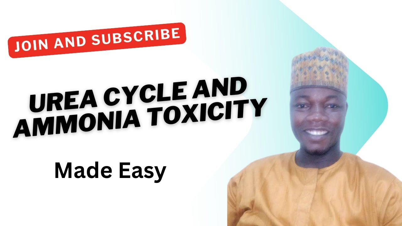 Urea Cycle and Ammonia Toxicity - YouTube