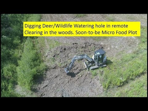 Digging Deer/Wildlife Watering Hole in Remote small clearing & Grading ...