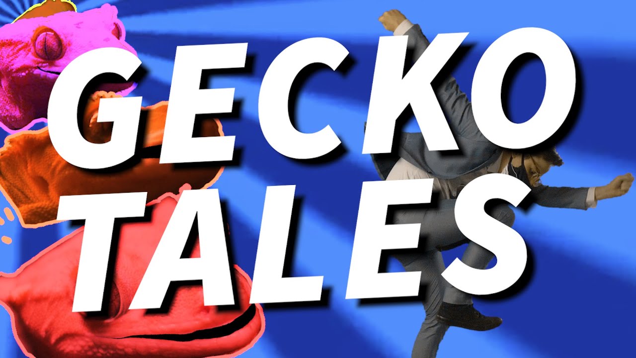 GECKO TALES - A Singing Crested Gecko Fever-Dream Bonanza! - YouTube
