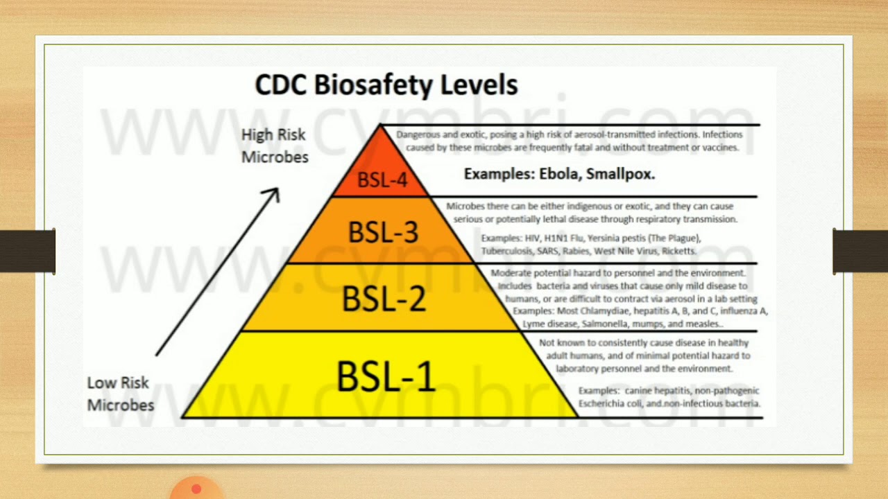 Biosafety levels by Dr.Vijayta Sharma, Associate Professor at Modern ...