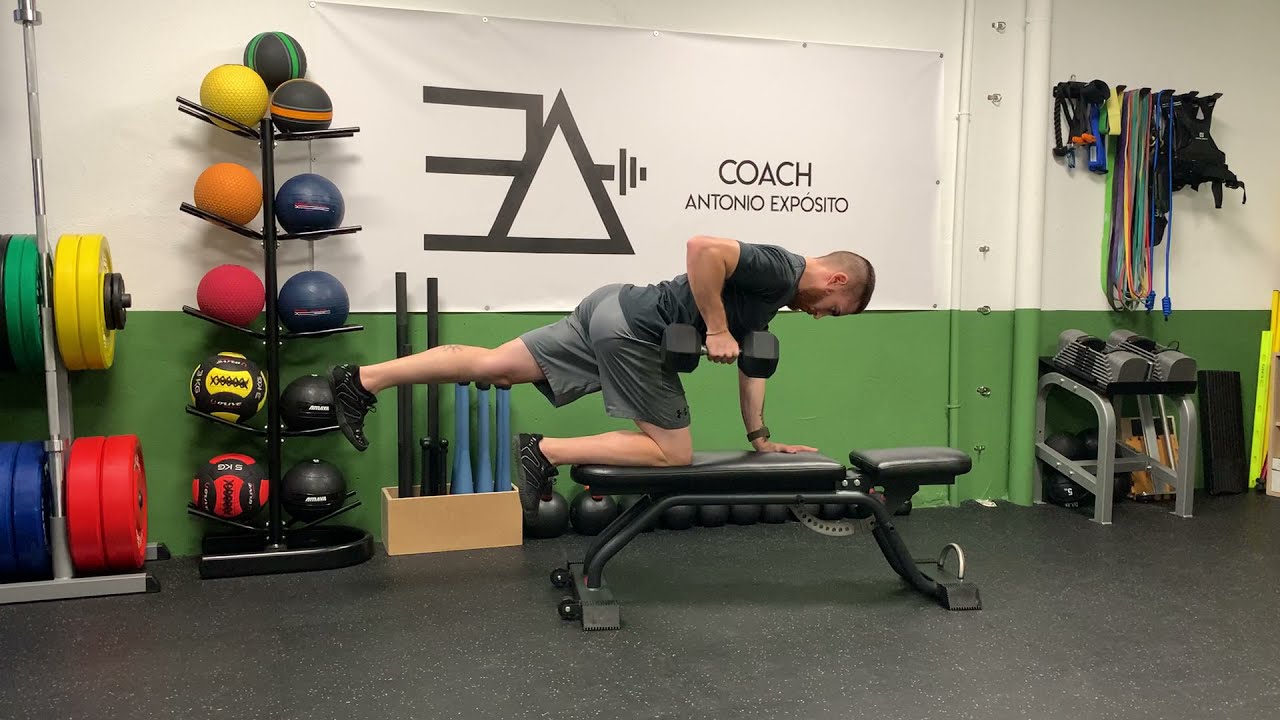 Bench Bird-Dog DB Row - 1Arm - YouTube