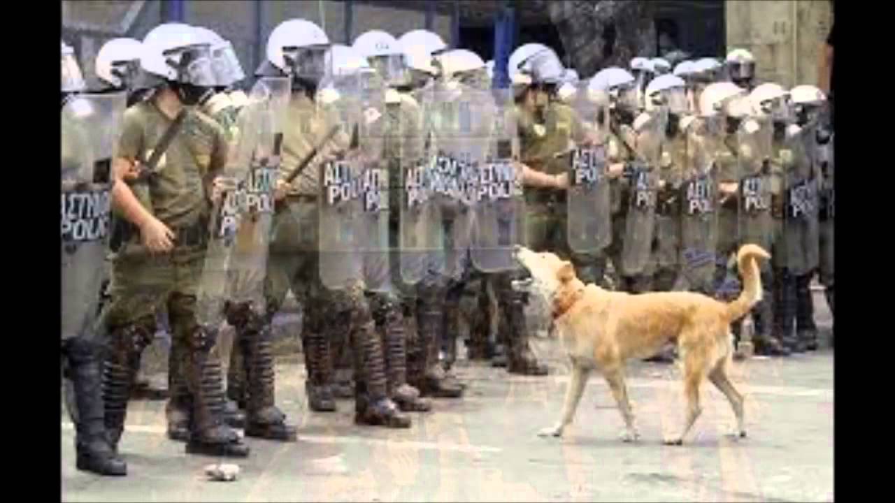 Ο ΛΟΥΚΑΝΙΚΟΣ (Το Τραγούδι Του Λουκάνικου) ΔΕΝΔΡΙΝΟΣ ΧΡΗΣΤΟΣ - YouTube