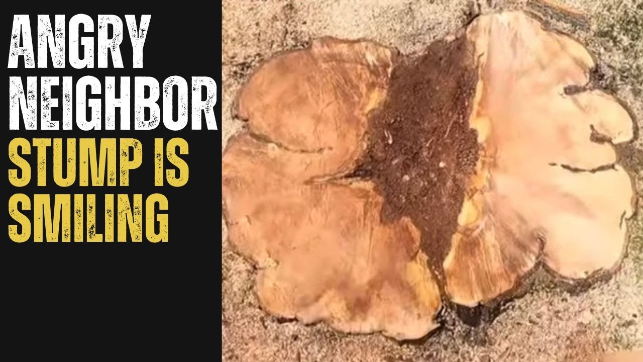 Angry Neighbor-The Full Story - YouTube