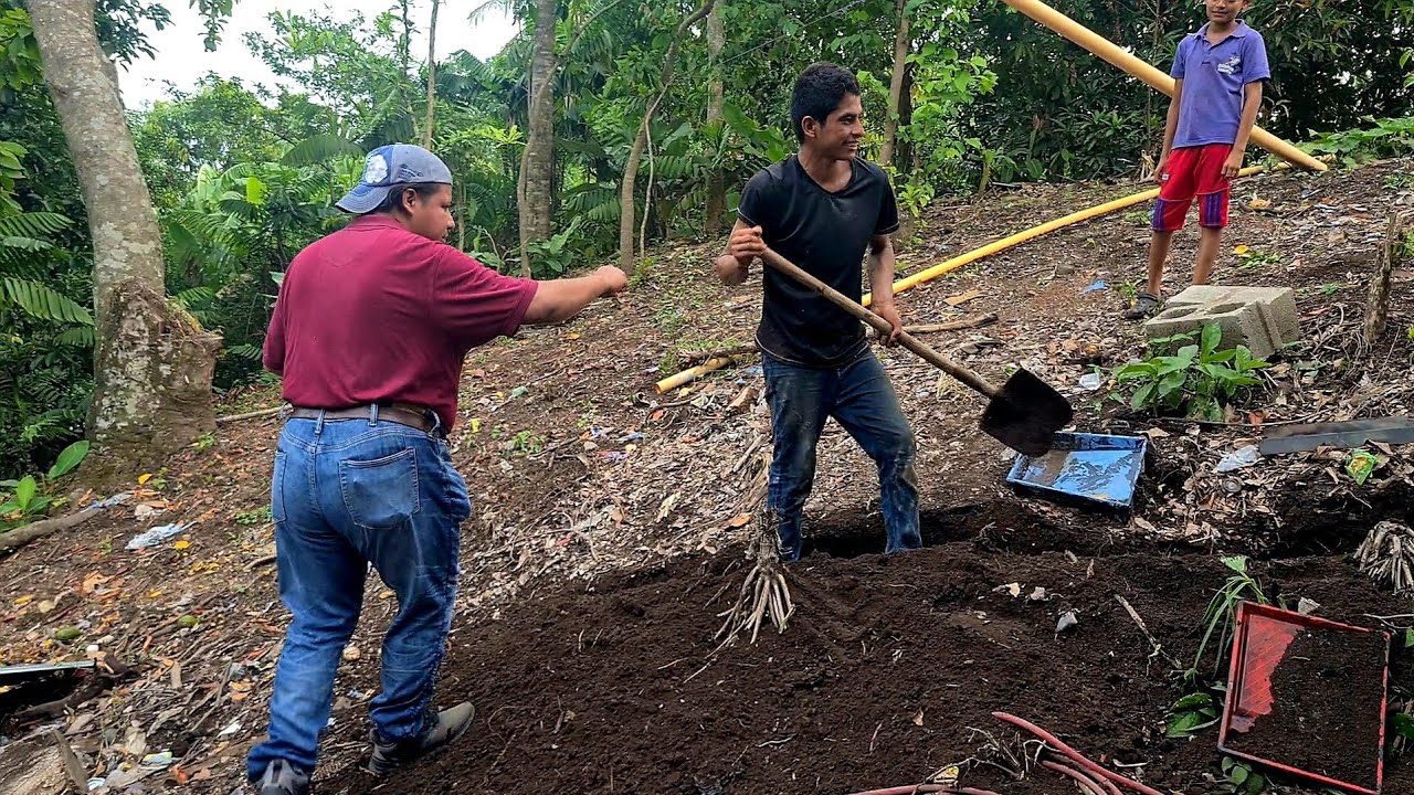 La Ada Madrina Puso a Milton a Trabajar, Pero Sin Sueldo 😢 - YouTube