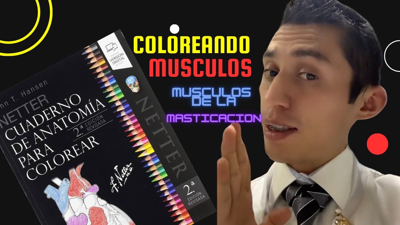 Músculos de la Masticación libro netter - YouTube