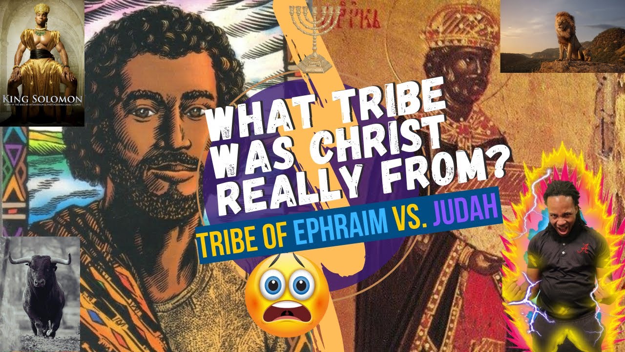 WAS DAVID AN EPHRAIMITE? WHAT TRIBE WAS CHRIST FROM? | MESSIAH BEN ...