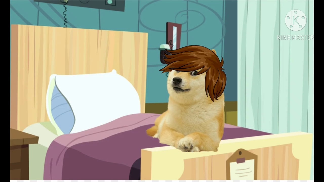 abro hilo la ves que me encontré a Cartoon cat 😱😱😱😱😱 - YouTube