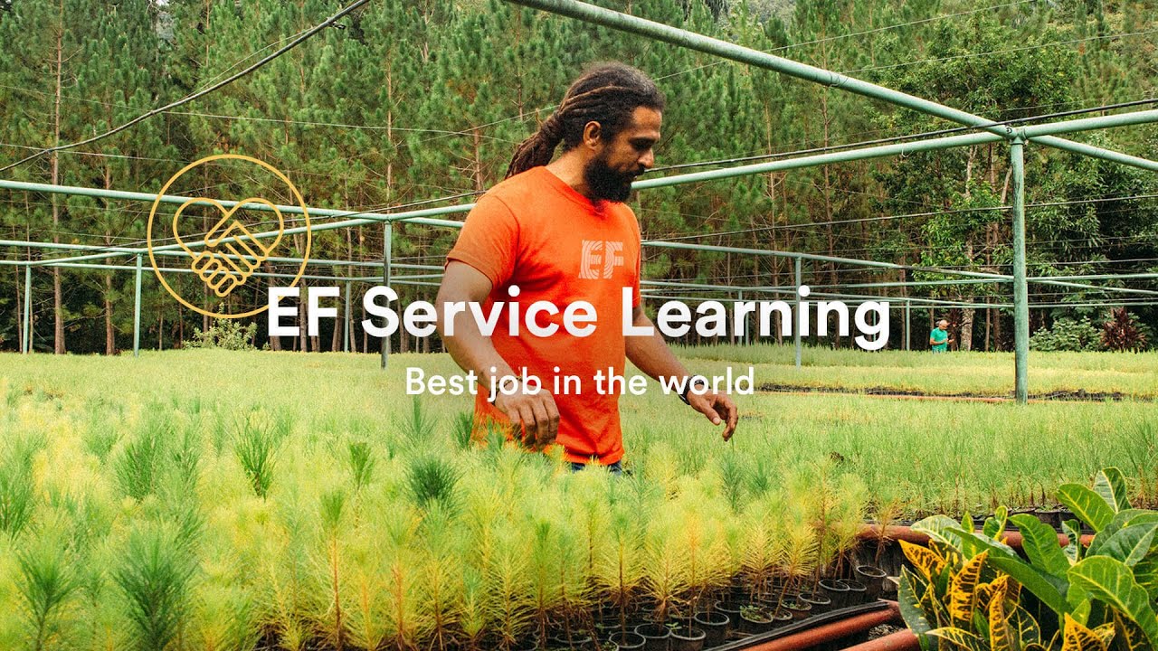 Service Learning with EF: Best Job in the World - YouTube