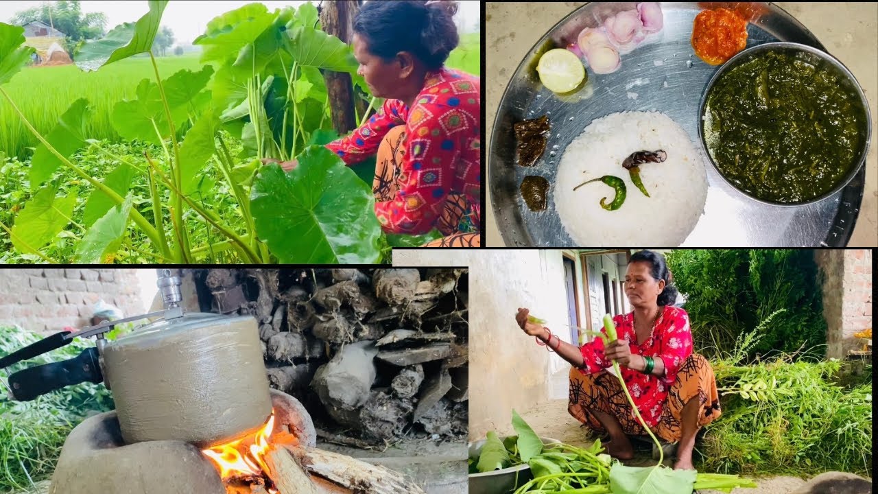 village style rice and Karkalo leaves cooking /Taro leaves curry # ...