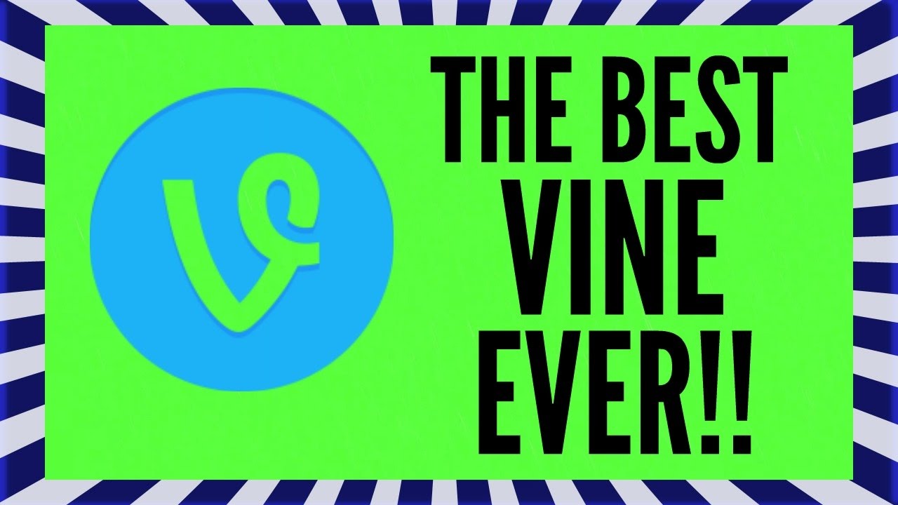 THE BEST VINE EVER!! - YouTube
