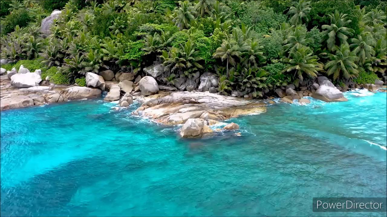 Refreshing nature sounds - YouTube