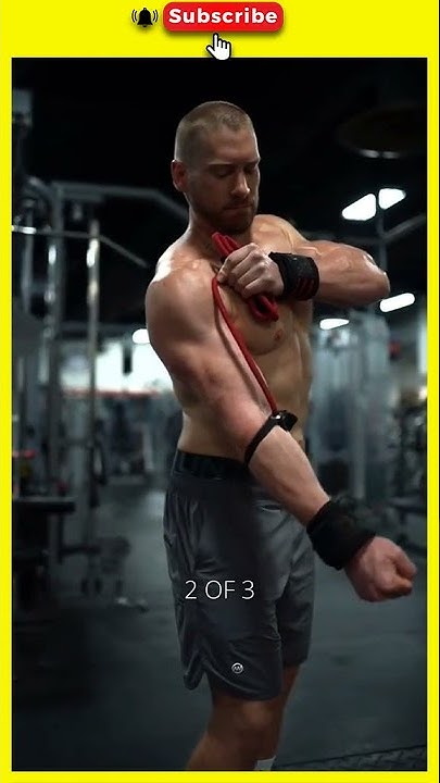 Biceps Exercises Ranked - YouTube