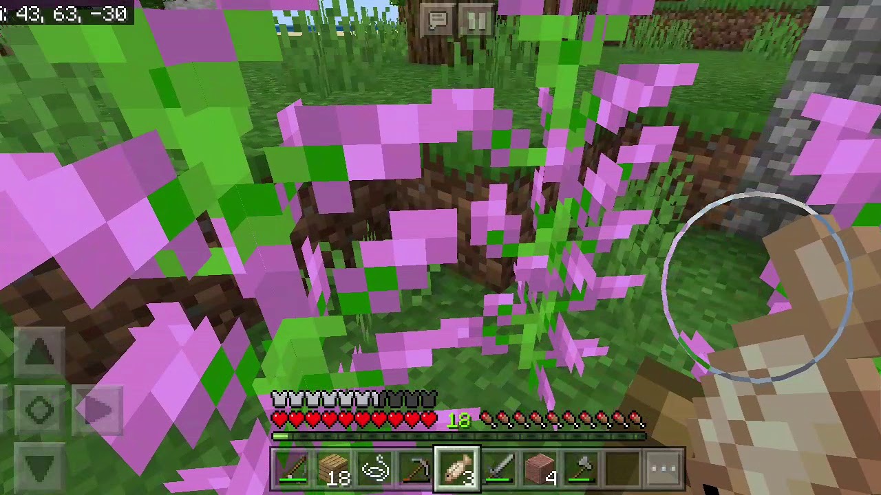 Minecraft survival #4 build ruang bawah tanah dan panen tanaman - YouTube
