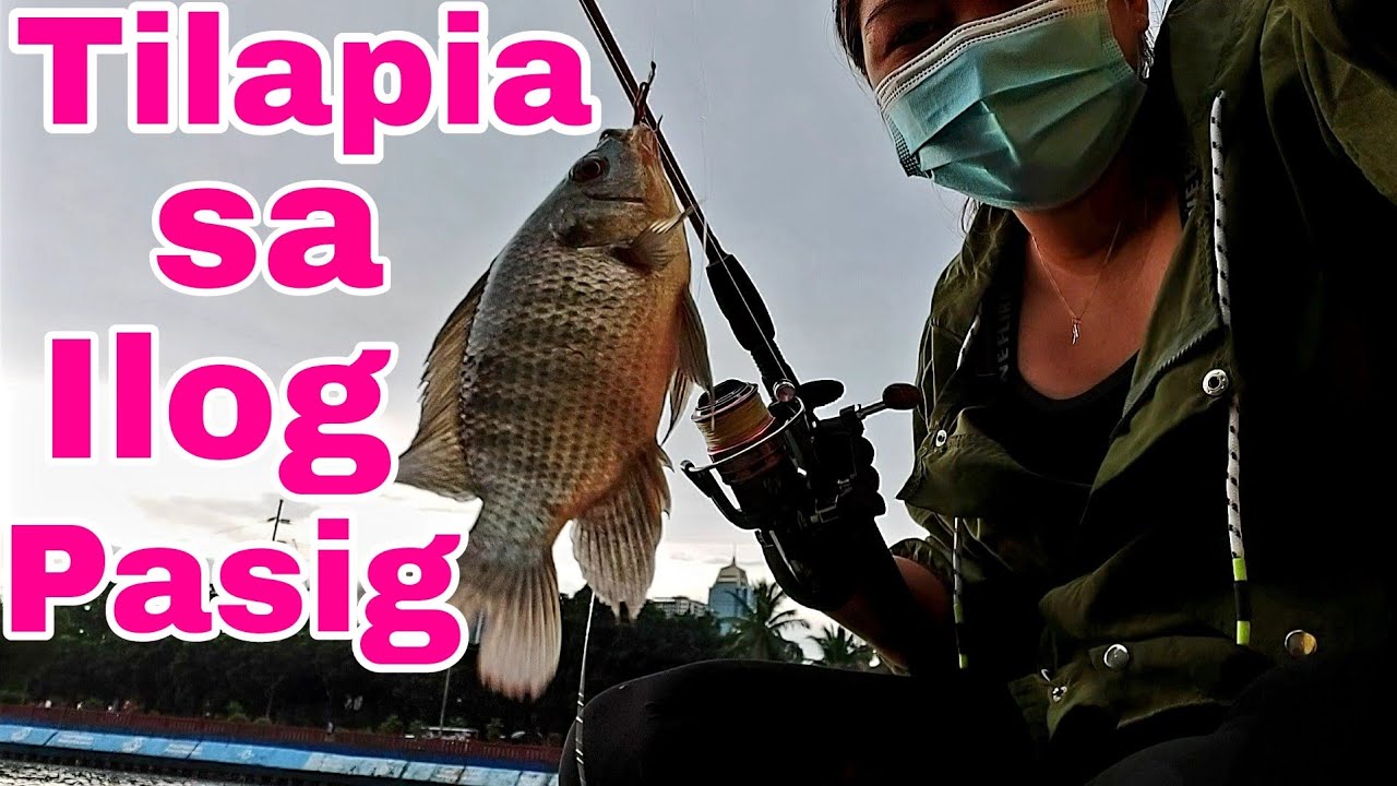 Tilapia sa Ilog Pasig/ Pasig River Fishing / Amaren'z TV - YouTube