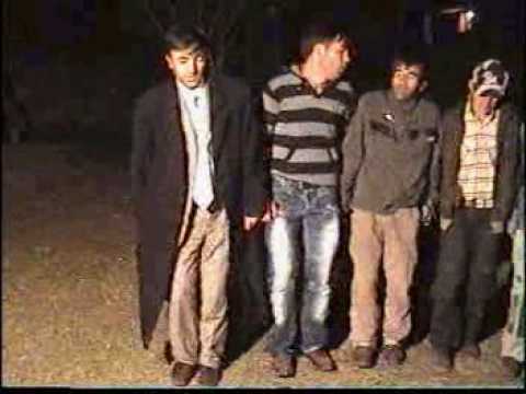 DİLOVAN MÜZİK HALAY 2