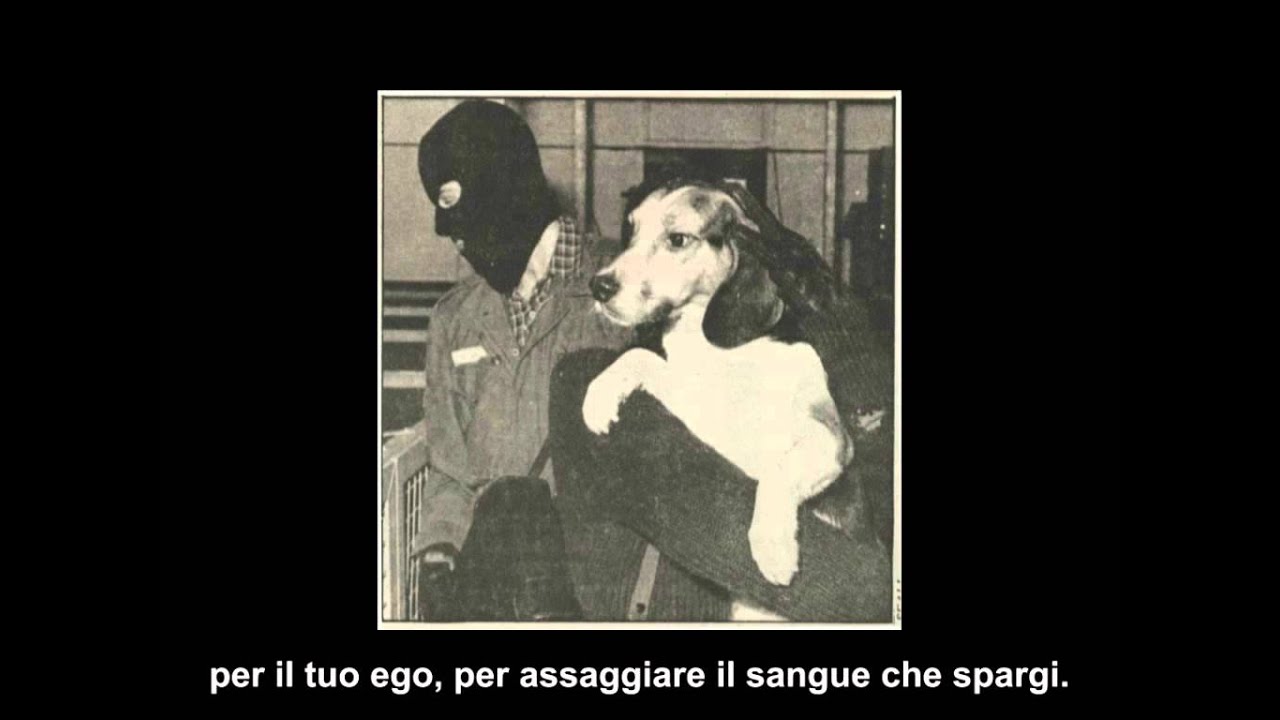 Vegan Reich - La Realtà Delle Cose - YouTube