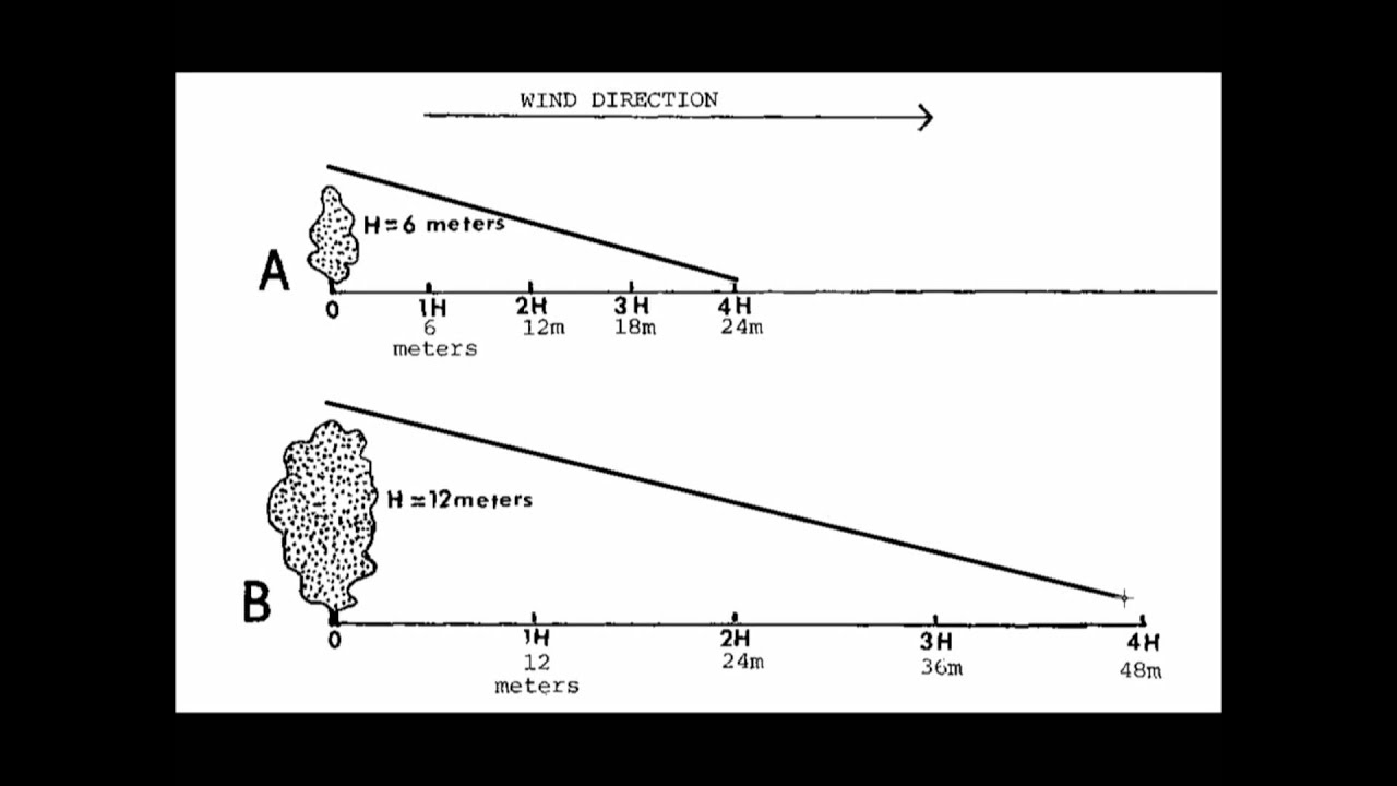 Track and Field - Training Tip Tuesday - Long Jump Science - YouTube