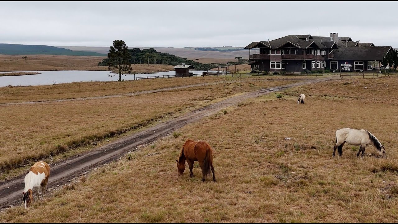 House Of The Rising Sun - The Animals - Bom Jesus, RS, Brazil - YouTube