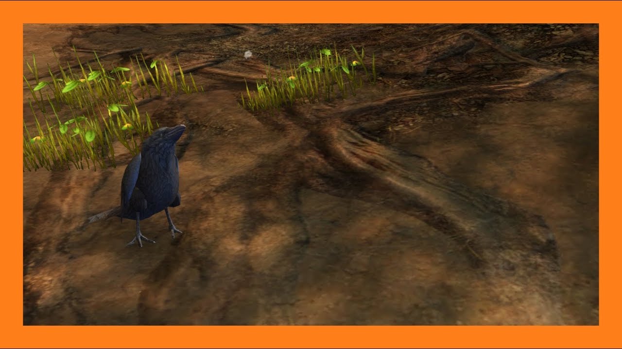 Guild Wars 2 - Raven Pet Locations - YouTube