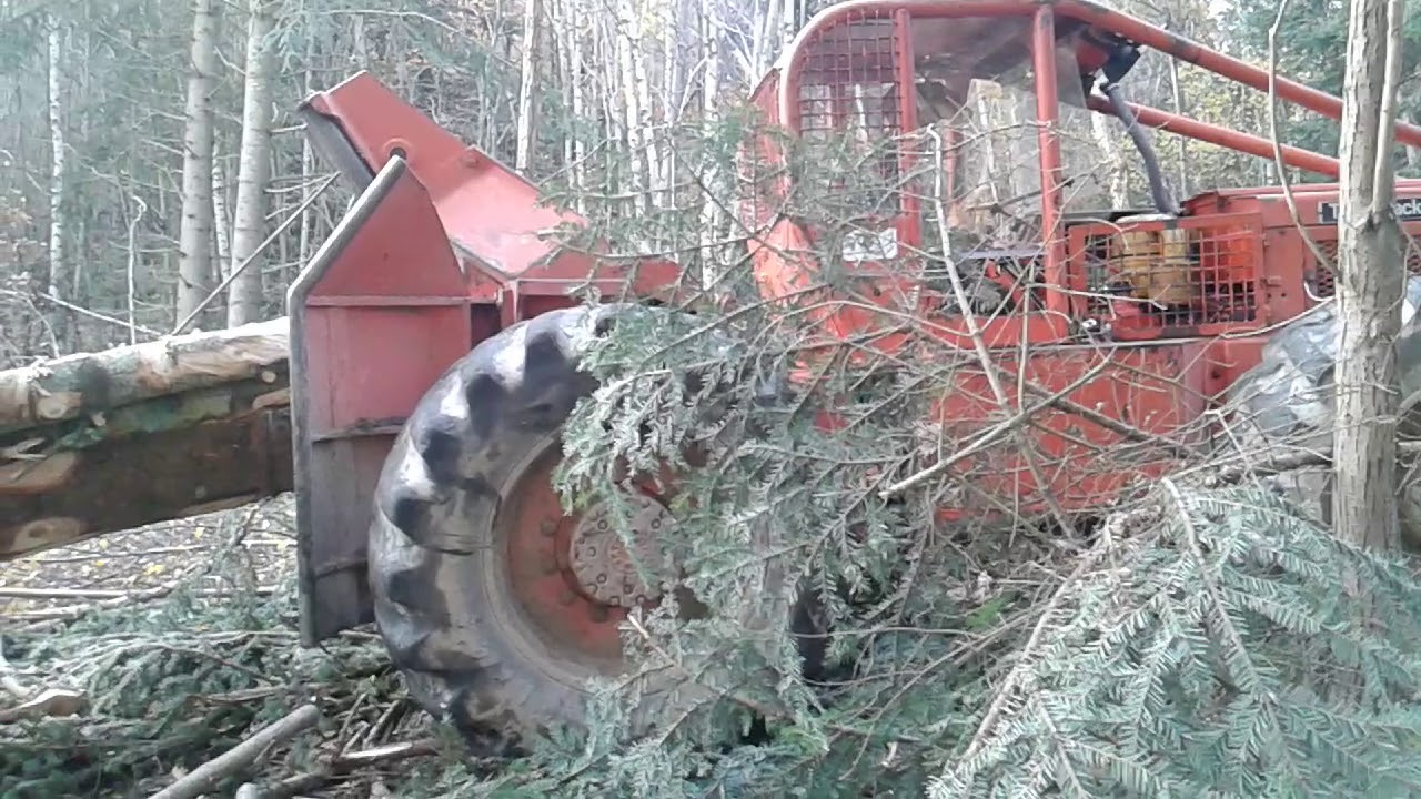 timberjack 225 - YouTube