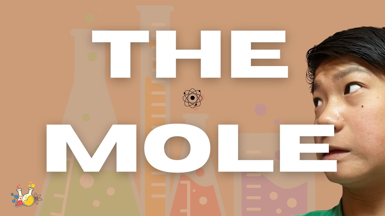 All About The Mole | Origin, Facts, Uses - YouTube