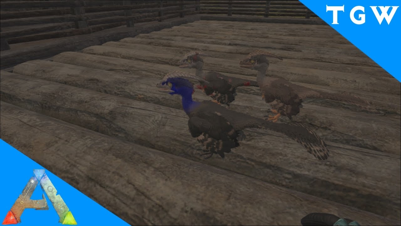 Ark Evolved Mutations| MicroRaptor Pen And Egg Hatching #7 - YouTube