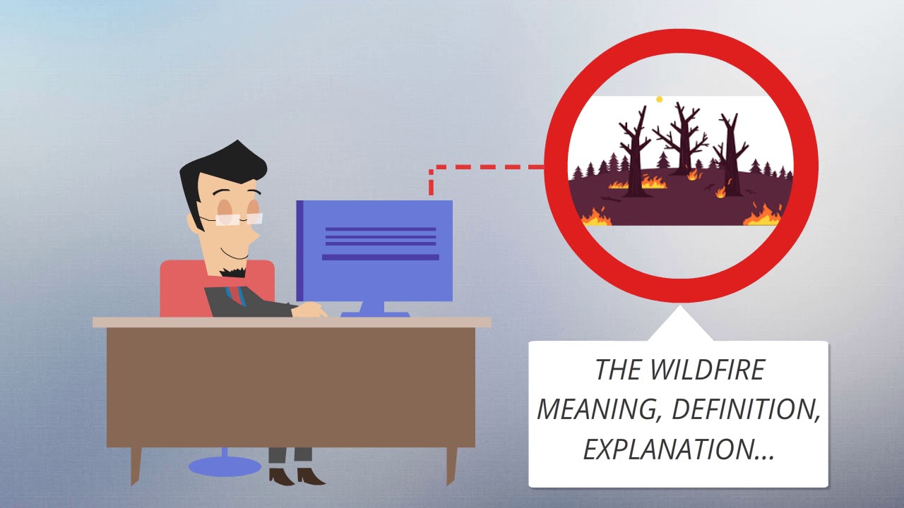 What Is WILDFIRE? WILDFIRE Definition & Meaning - YouTube