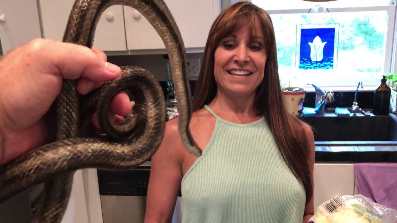 WATCH THIS! Huge snake eats her eggs. She loves the rabbit but cooks ...