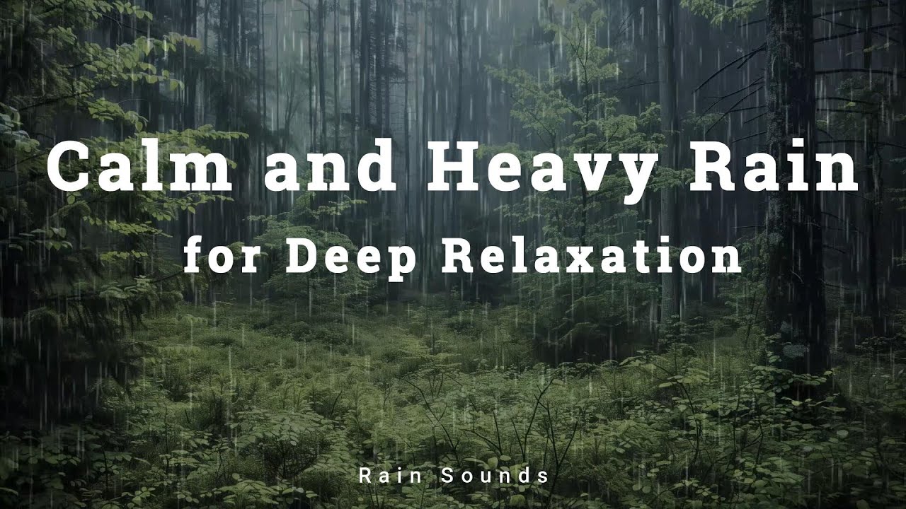 Calm and Heavy Rain for Deep Relaxation. Calming Sound of Rain for ...