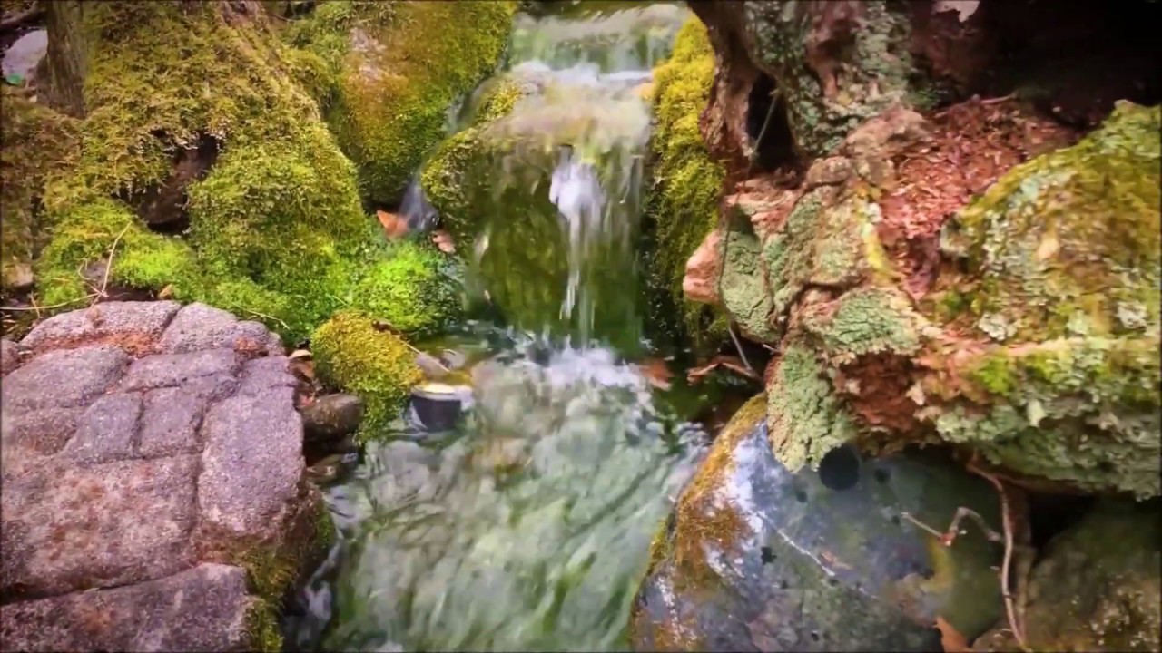 Recreating Nature in Nature 💯 - YouTube