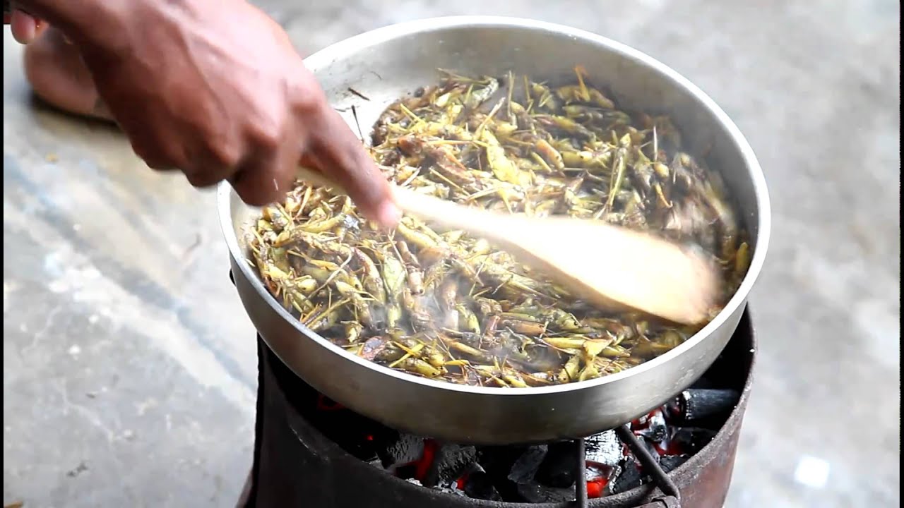 Cooking Locusts - YouTube