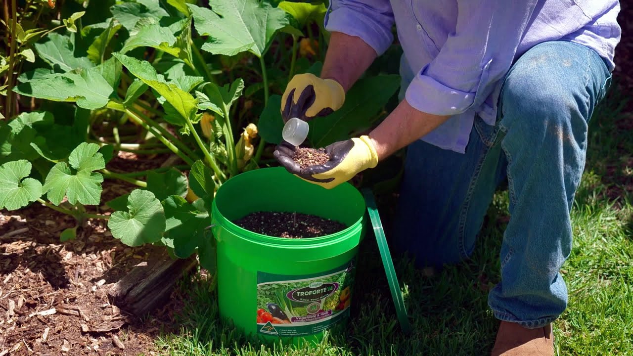 The Garden Gurus - Step one to a healthy plant and garden - YouTube