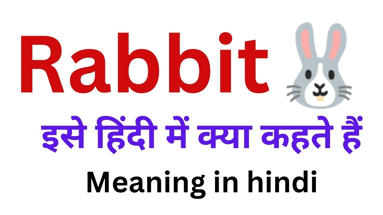 Rabbit meaning in hindi | rabbit ko hindi mein kya kahte hai | english ...