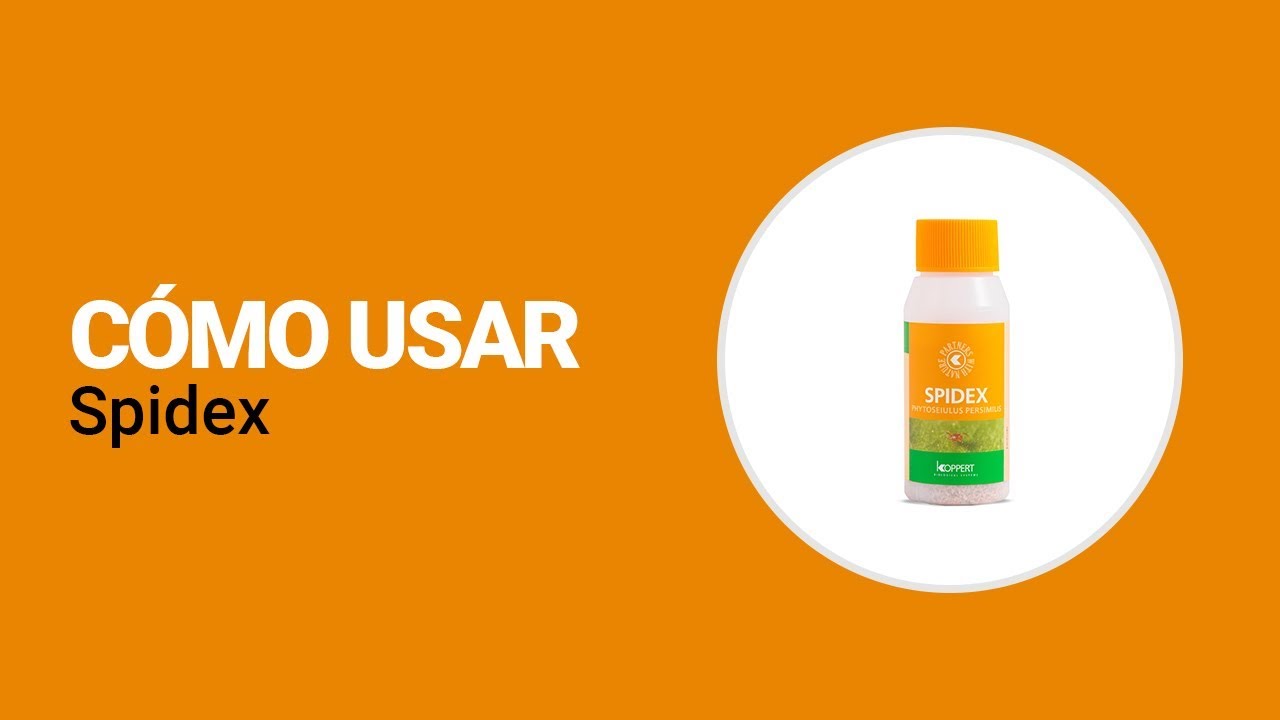 Cómo usar Spidex de Koppert - YouTube