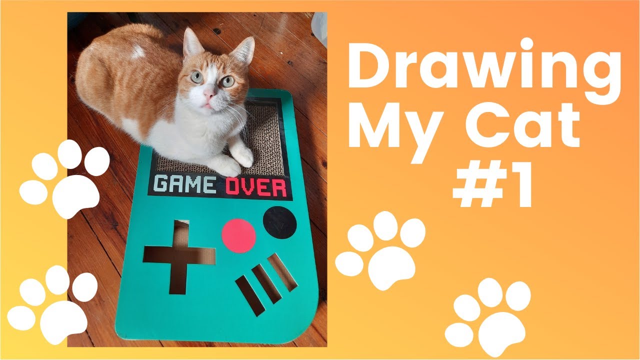 Drawing My Cat Episode 1 & PeeWee Plays With Her New Toy From Petsmart ...