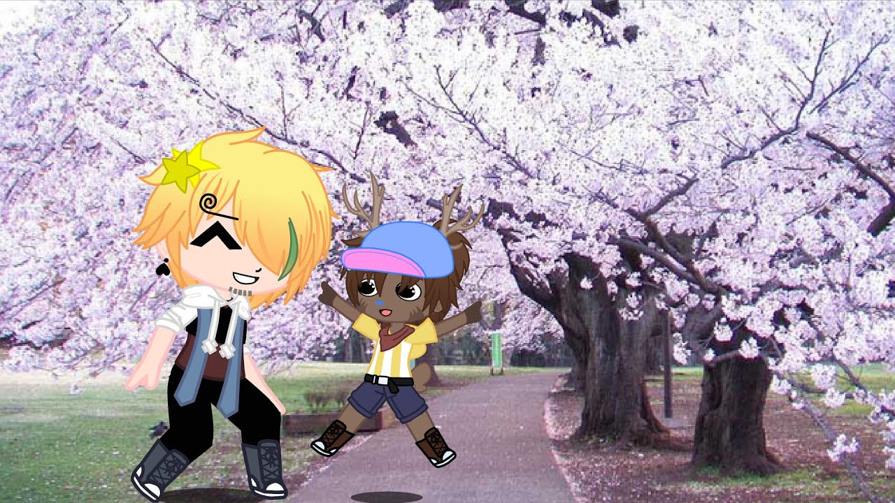 Some of the straw hat pirates react to each other /Sanji + Chopper ...