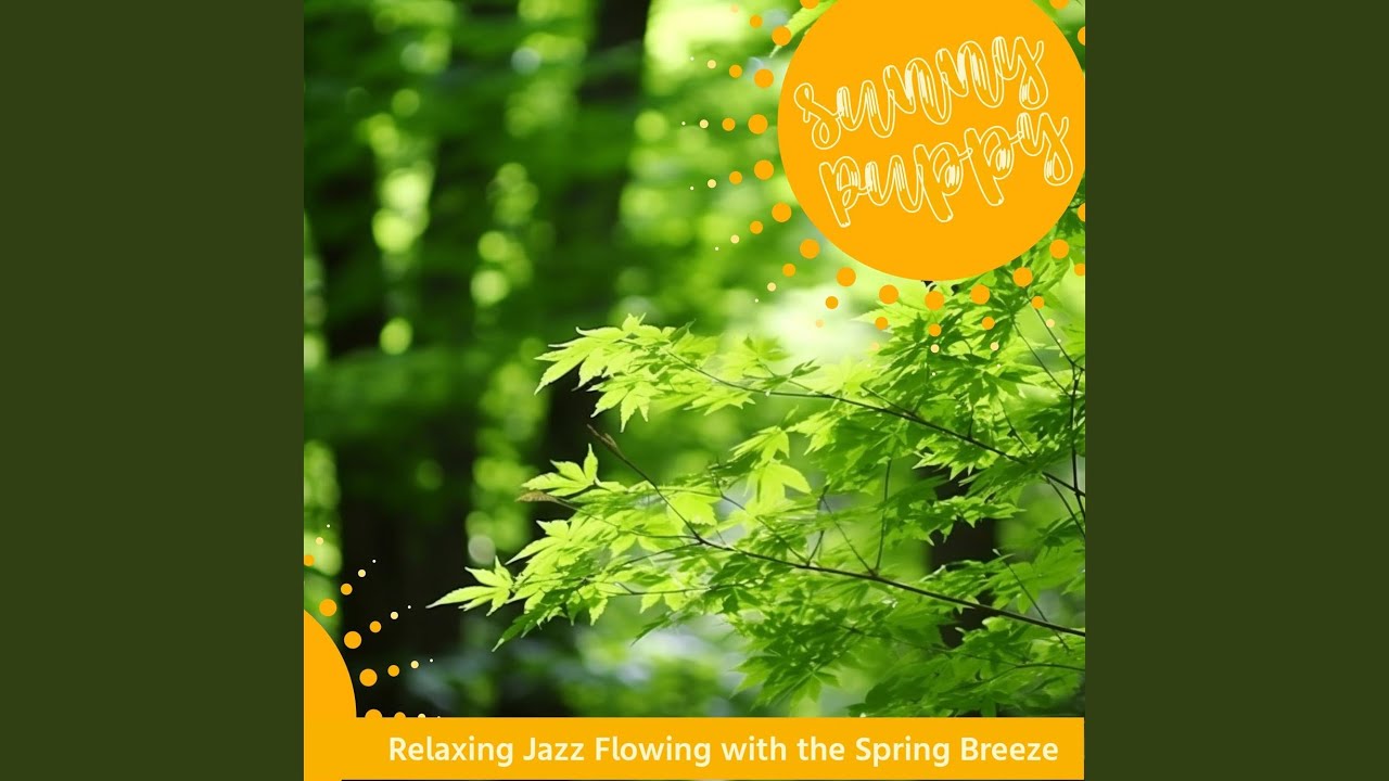 Blooming Serenity Walk - YouTube