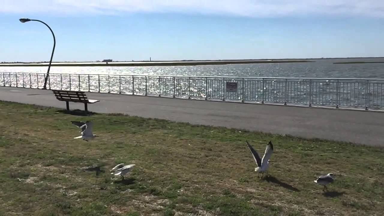 iPhone 6 Sample Video Footage 240FPS