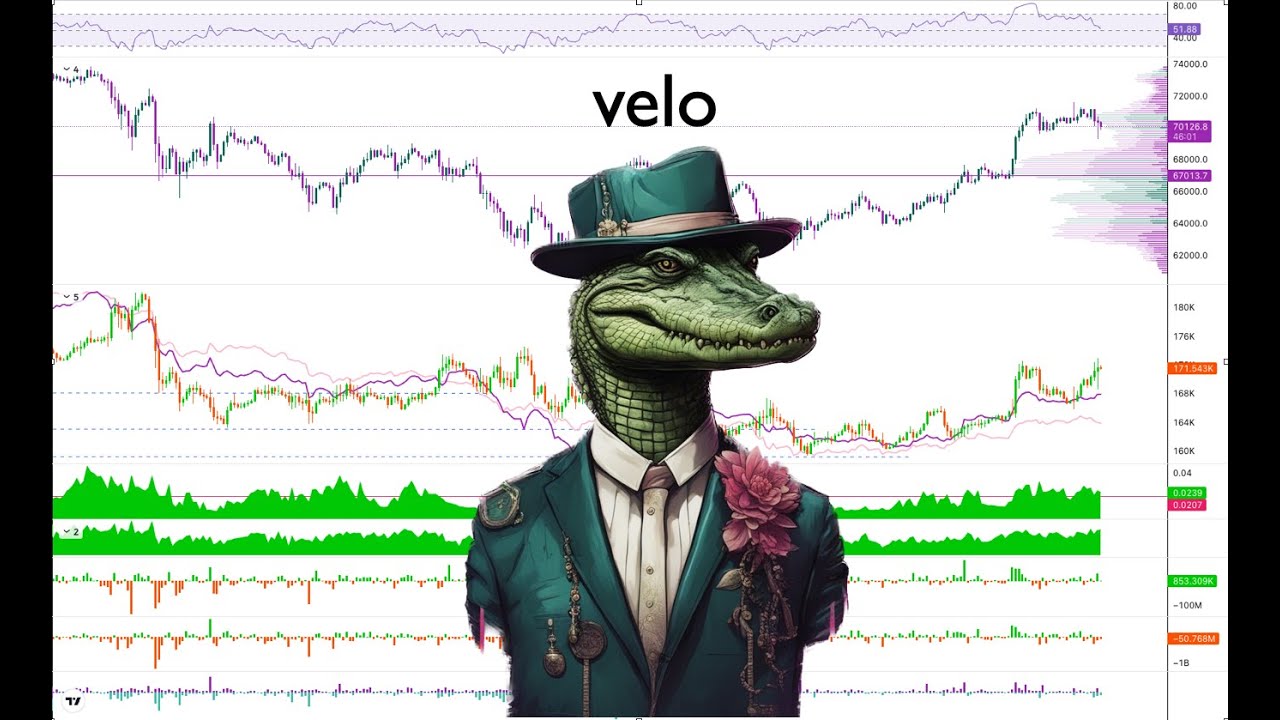 Velo Data = TradingView premium for free / my settings OI, Funding ...