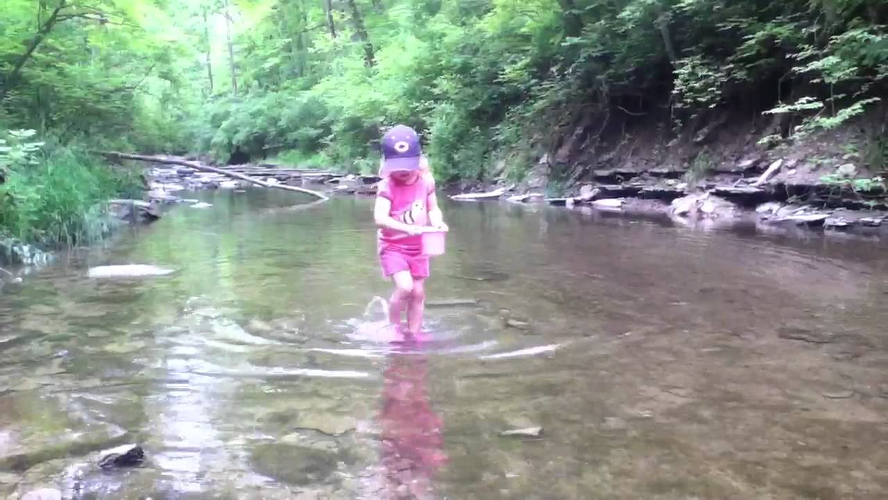 Creek walking - YouTube