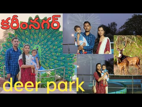 Karimnagar Deer Park || full video|| total park - YouTube